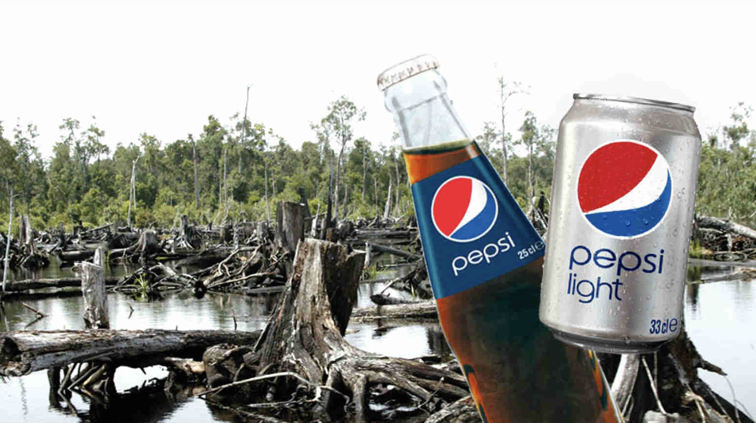 STATEMENT: Shareholders Have Their Say on Biodiversity at PepsiCo ...