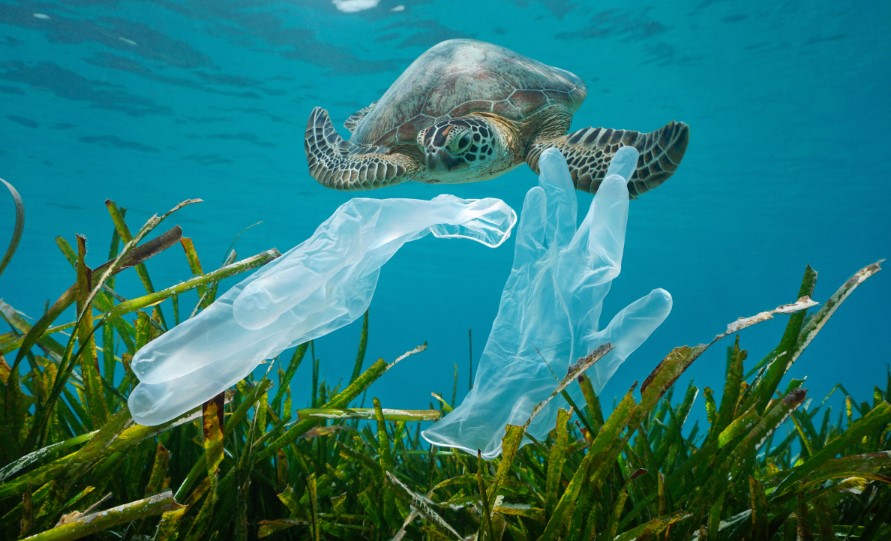 Disney To Increase Plastic Disclosure, Goals - Green Century